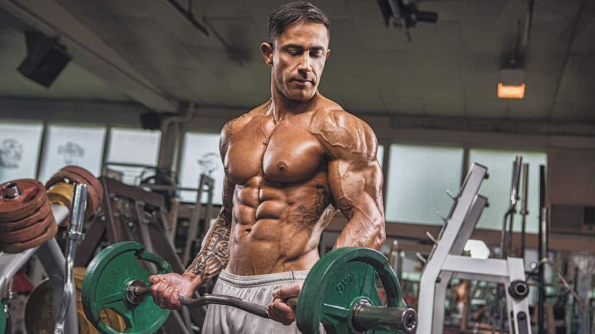 Best Exercises for Building Massive Arms - Angry Lion Fitness