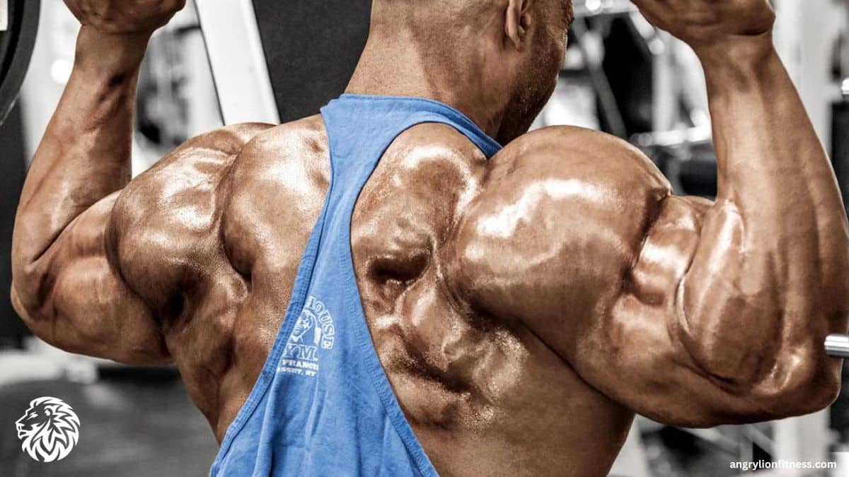 The 7 Best Shoulder Exercises For Building Massive Shoulders - Angry ...