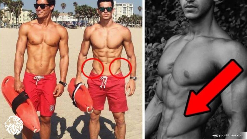 Adonis Belt Training: Exercises and Tips for a Chiseled Core - Angry ...