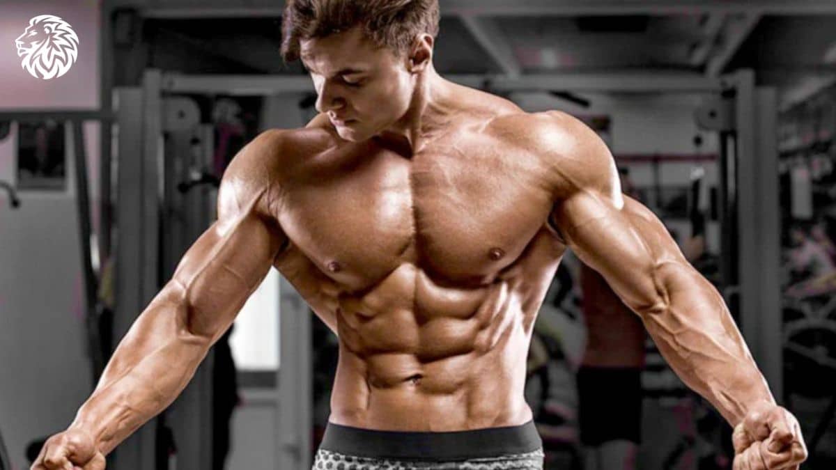 Sculpting the Ultimate Classic V-Taper - Angry Lion Fitness