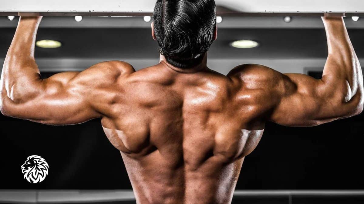 Sculpting the Ultimate Classic V-Taper - Angry Lion Fitness