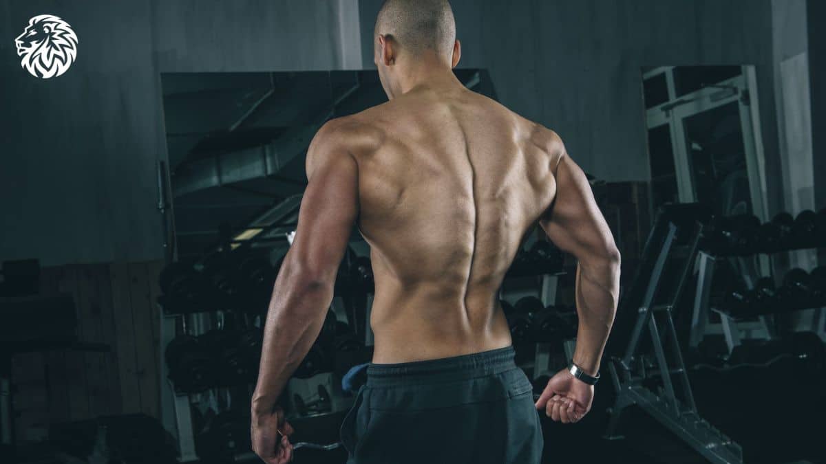Sculpting the Ultimate Classic V-Taper - Angry Lion Fitness