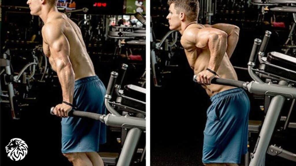 7 Best Chest Exercises for Maximum Strength - Angry Lion Fitness