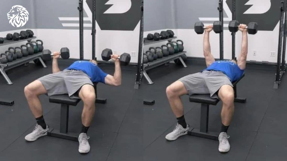 7 Best Chest Exercises for Maximum Strength - Angry Lion Fitness