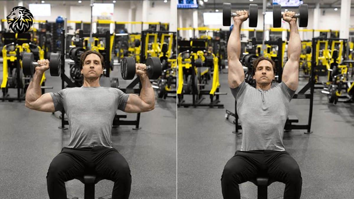 5 Essential Exercises to Master the Barbell Overhead Press - Angry Lion ...