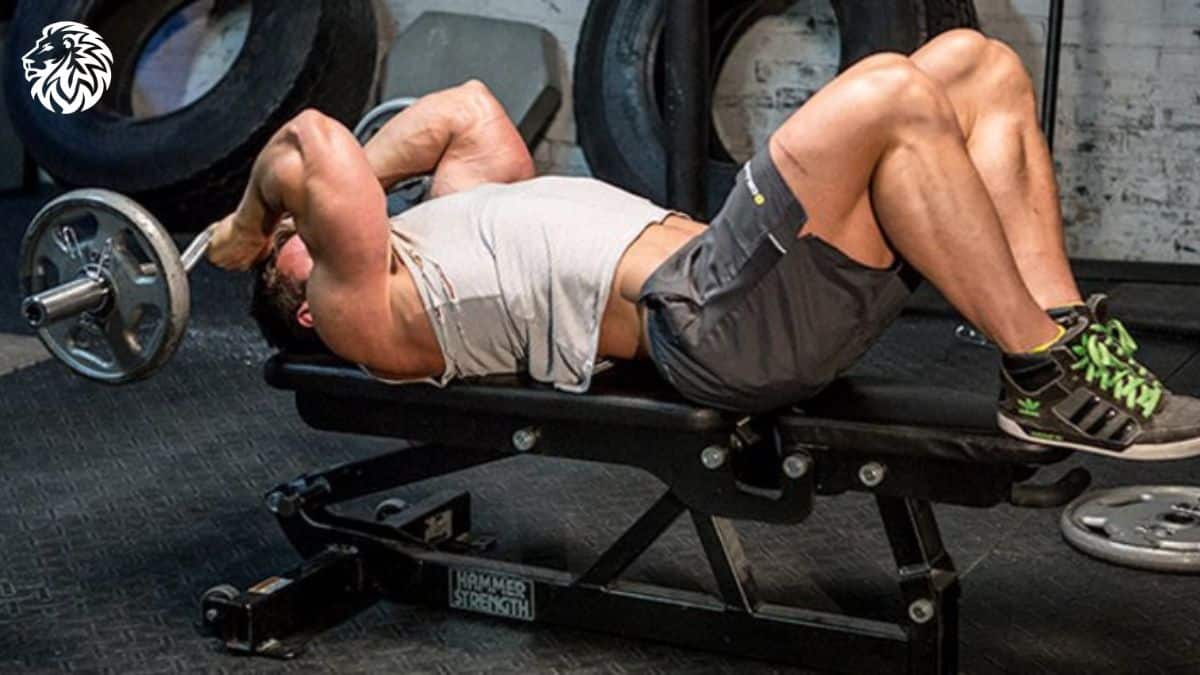 The Best Barbell Exercises for Your Triceps - Angry Lion Fitness