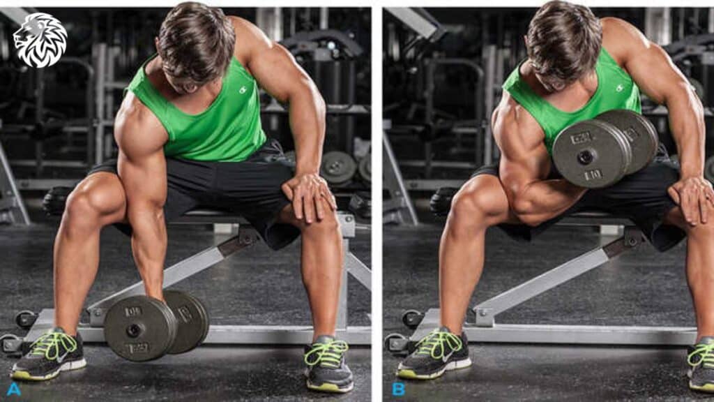 Back and Bicep Workouts for Massive Muscle Growth - Angry Lion Fitness