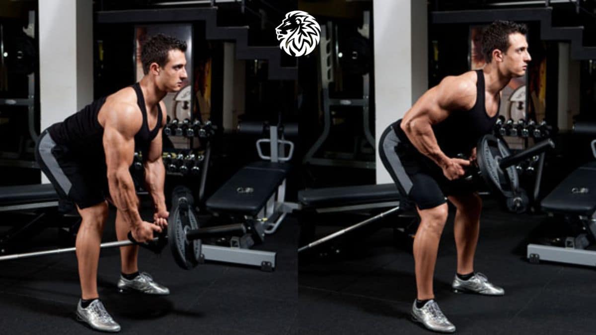 Back and Bicep Workouts for Massive Muscle Growth - Angry Lion Fitness