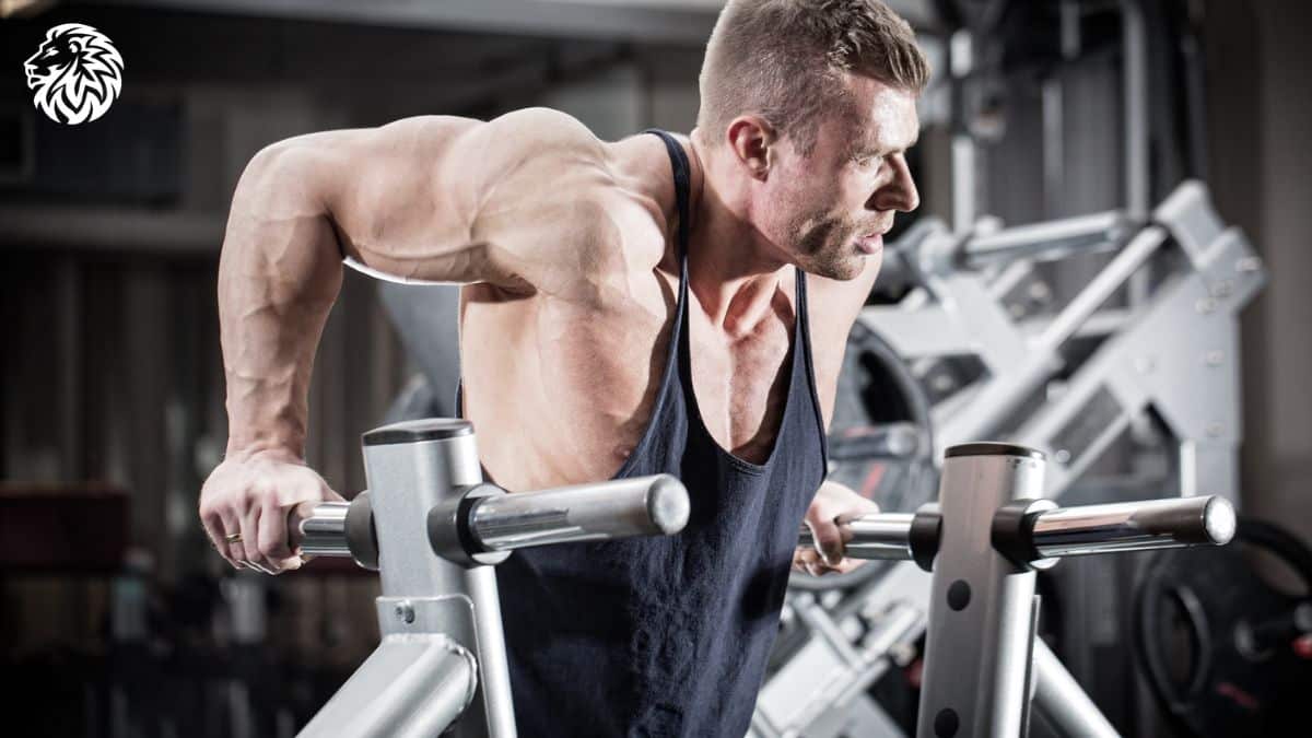 The Best Chest Workout To Build Strength And Size In The Gym - Angry ...