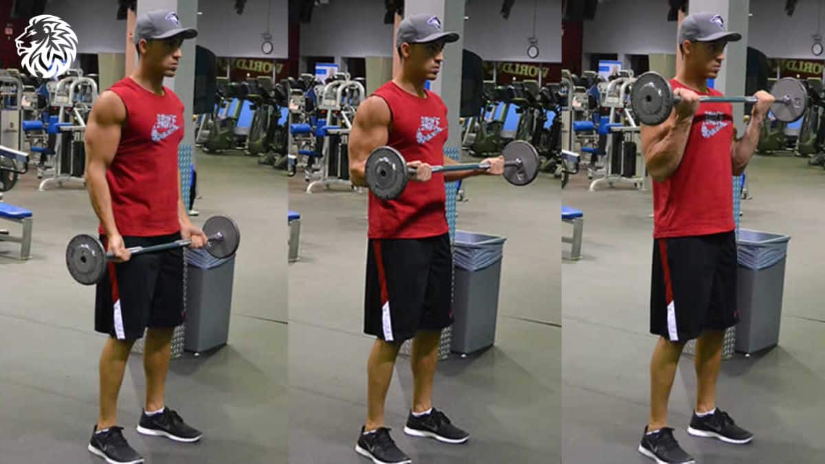 6 Powerful Biceps Workouts for Strength and Definition - Angry Lion Fitness