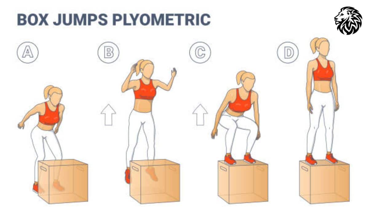 9 Best Calf Exercises for Mass and Strength - Angry Lion Fitness