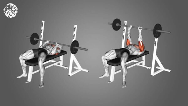 5 Powerful Exercises To Build Horseshoe Triceps - Angry Lion Fitness