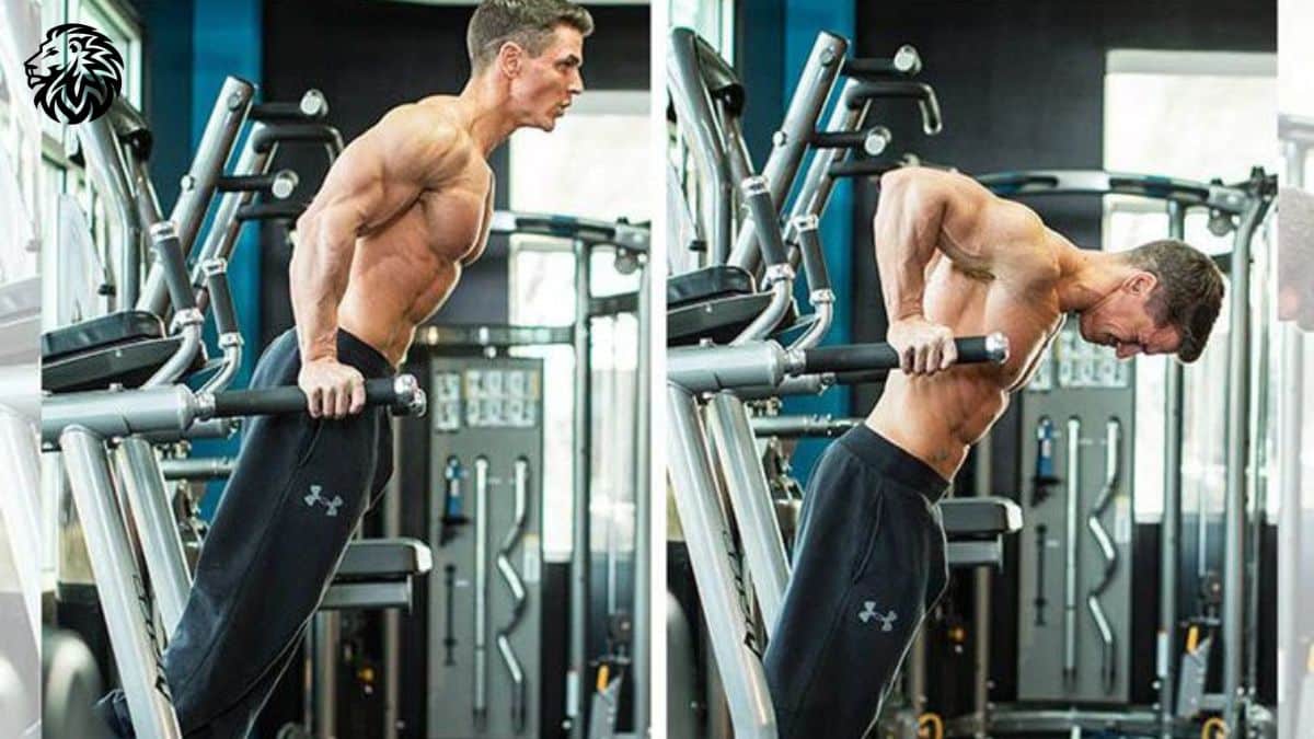 The Best Chest Workout To Build Strength And Size In The Gym - Angry ...