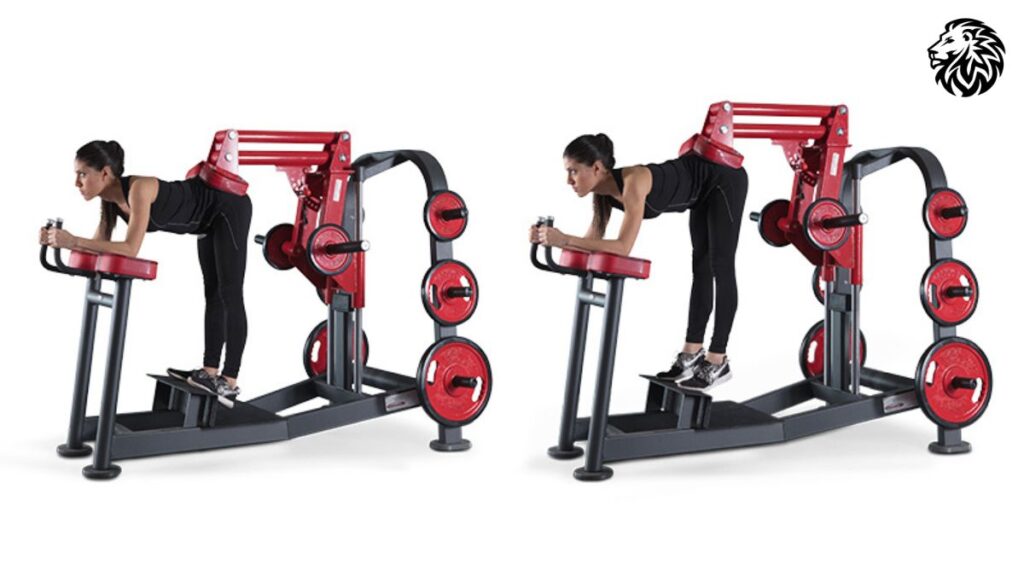 9 Best Calf Exercises for Mass and Strength - Angry Lion Fitness