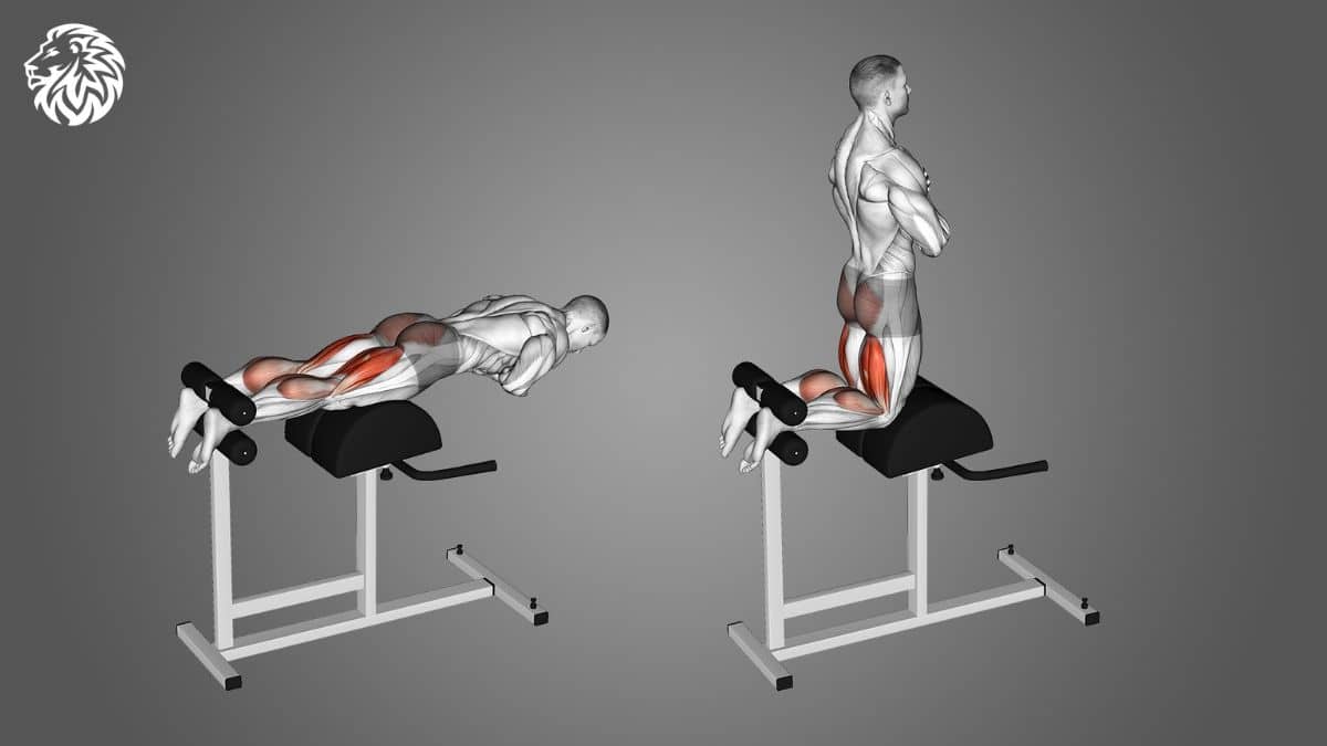 4 Crucial Hamstring Exercises to Try on Leg Day - Angry Lion Fitness