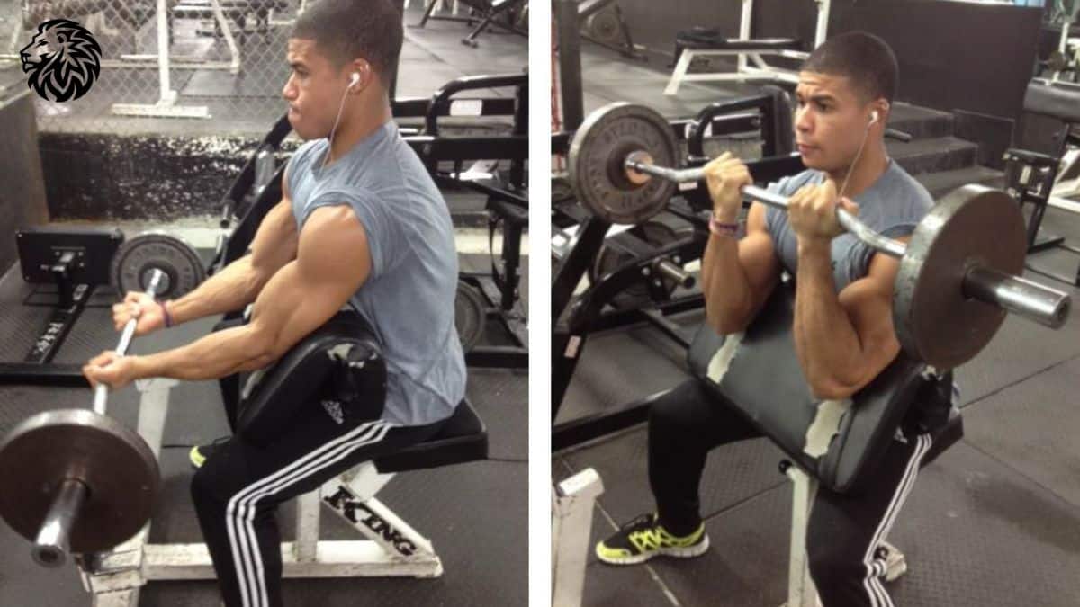 6 Powerful Biceps Workouts for Strength and Definition - Angry Lion Fitness