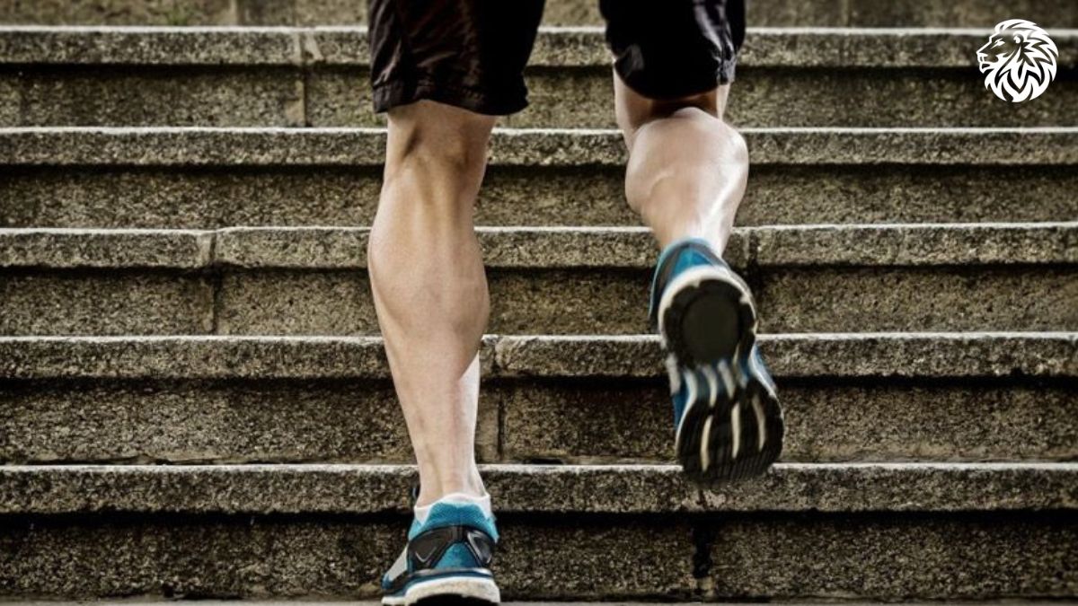 9 Best Calf Exercises for Mass and Strength - Angry Lion Fitness