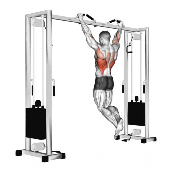 8 Best Back Exercises For A Rock Solid Back - Angry Lion Fitness