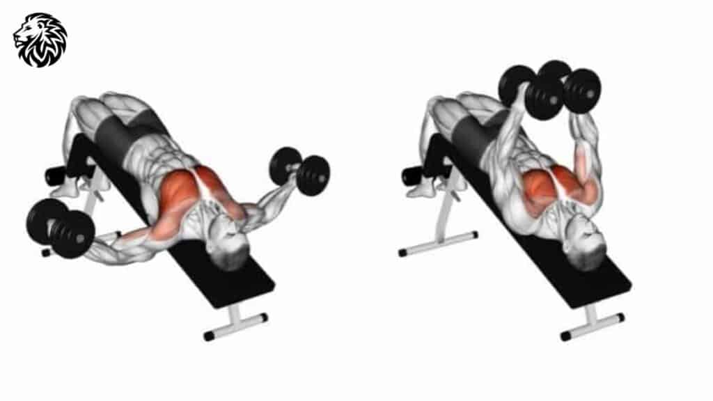 The 5 Best Lower Chest Exercises for a Defined Chest - Angry Lion Fitness