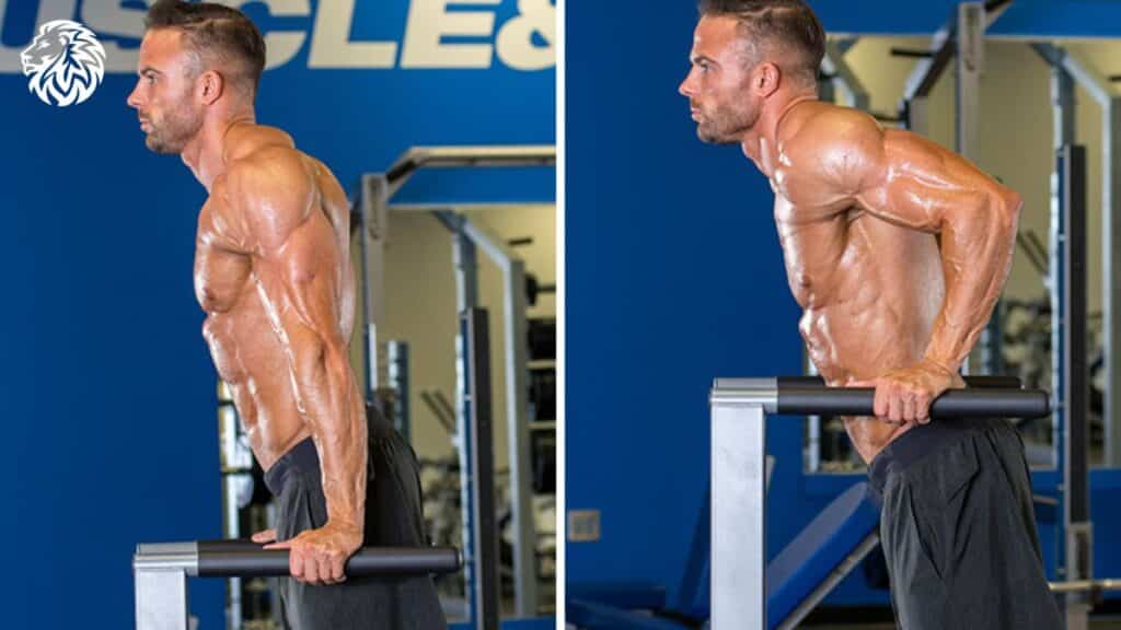The Best Chest and Triceps Workouts for Building Muscle - Angry Lion ...