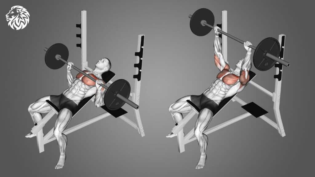 The Best Chest and Triceps Workouts for Building Muscle - Angry Lion ...
