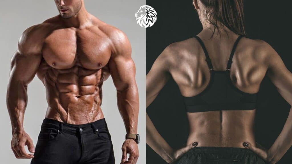 What is the Perfect Shoulder to Waist Ratio? - Angry Lion Fitness