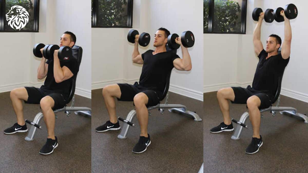 What Shoulder Exercises Hit All 3 Heads? - Angry Lion Fitness