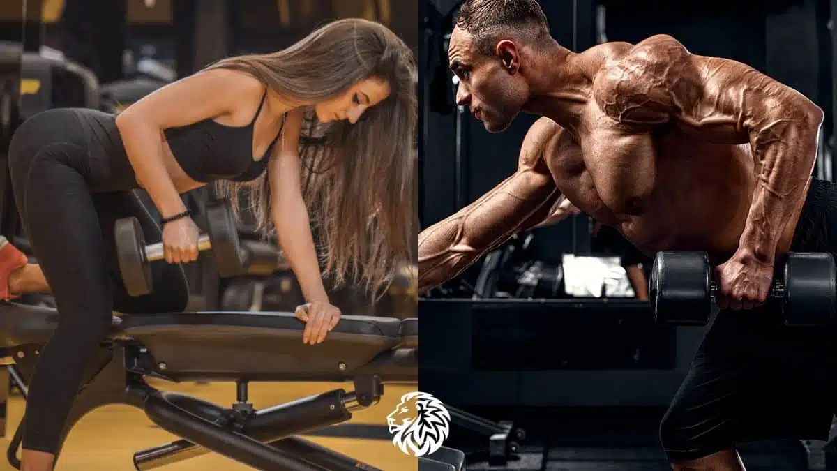 The Best Dumbbell Exercises for Your Back - Angry Lion Fitness