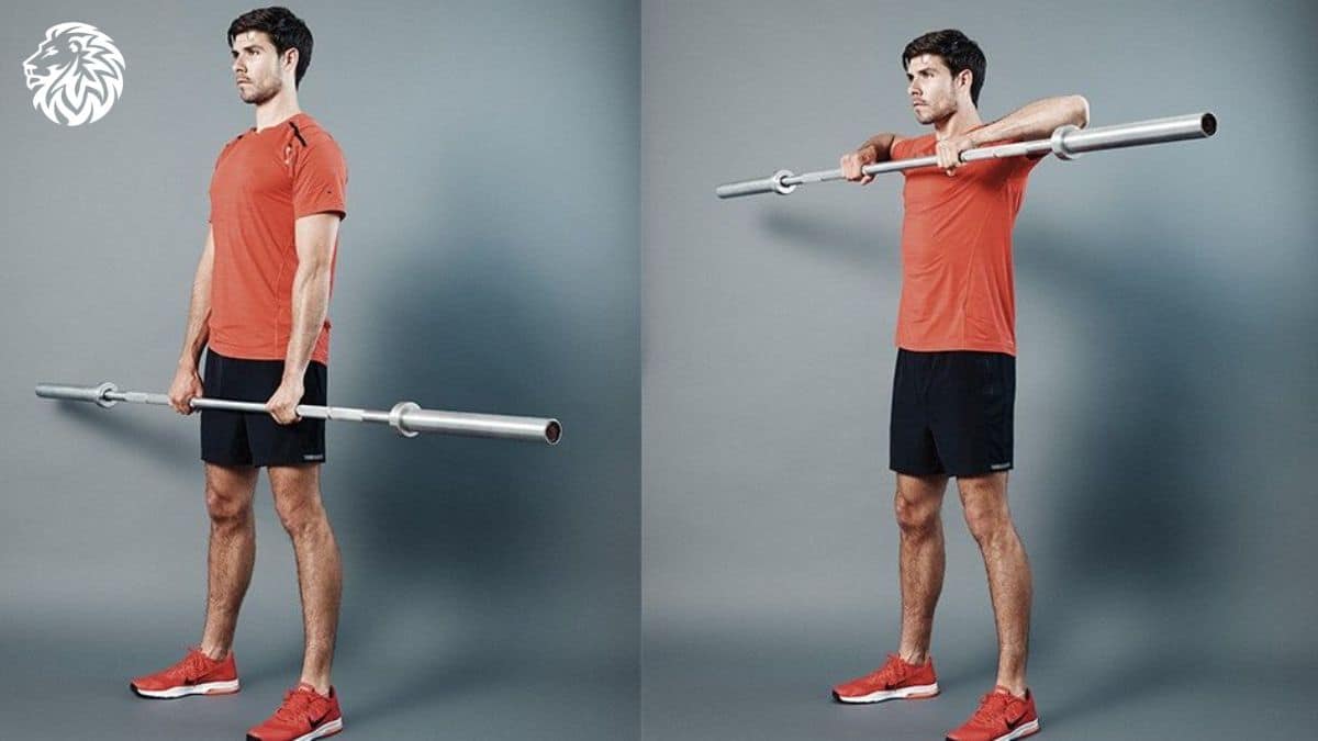 What Shoulder Exercises Hit All 3 Heads? - Angry Lion Fitness