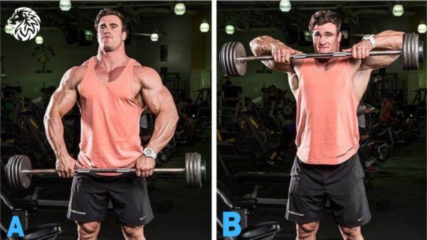 What Shoulder Exercises Hit All 3 Heads? - Angry Lion Fitness