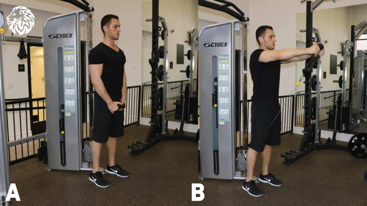 Essential Cable Shoulder Exercises for Bigger Shoulders - Angry Lion ...