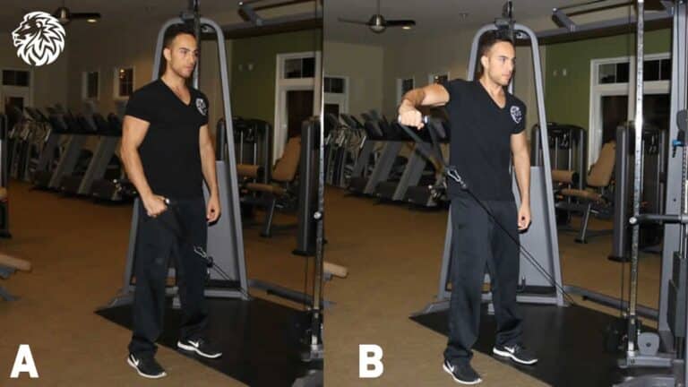 Essential Cable Shoulder Exercises for Bigger Shoulders - Angry Lion ...