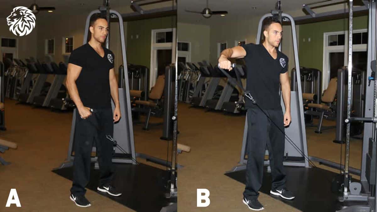 Essential Cable Shoulder Exercises for Bigger Shoulders - Angry Lion ...