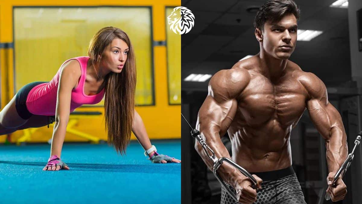 The Top 7 Chest Exercises for Strength and Shape - Angry Lion Fitness