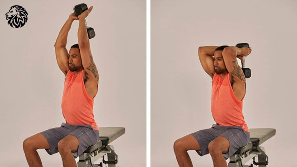 5 Best Tricep Exercises for Building Strong Arms - Angry Lion Fitness