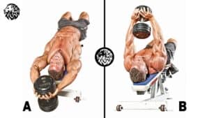The Best Dumbbell Exercises for Your Back - Angry Lion Fitness