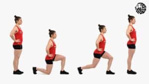 The Best Exercises for Sculpting Your Glutes - Angry Lion Fitness