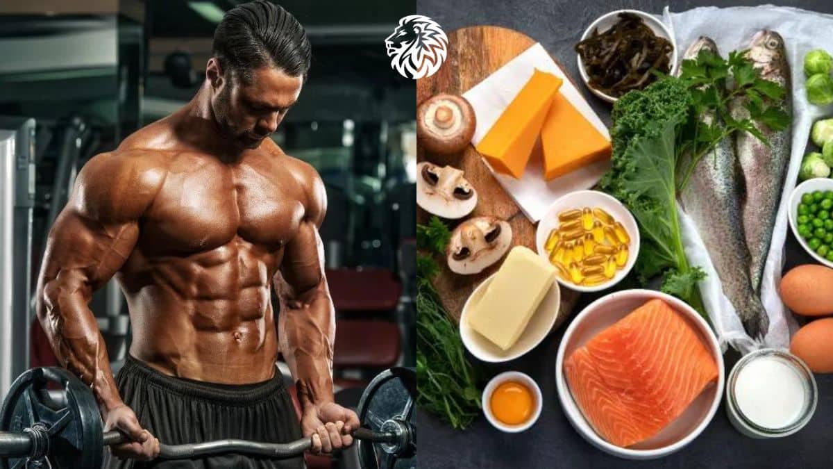 What Is The Best Diet To Gain Muscle And Lose Fat? - Angry Lion Fitness