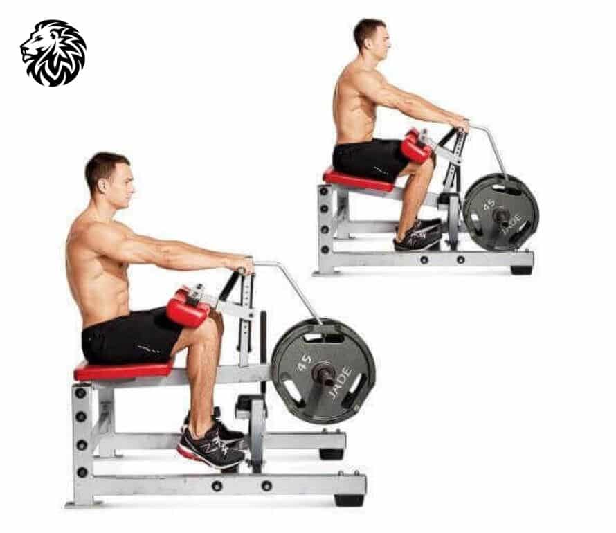 The 5 Best Calf Exercises for Lower Body Support and Power - Angry Lion ...
