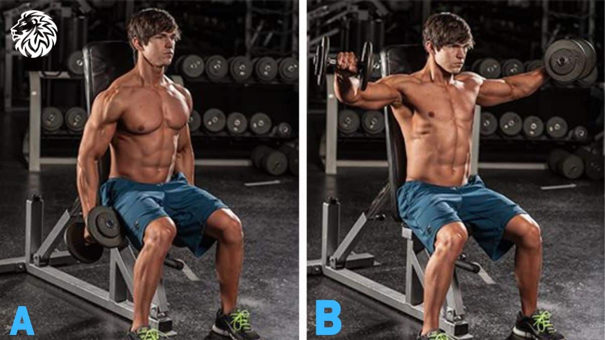 What Shoulder Exercises Hit All 3 Heads? - Angry Lion Fitness