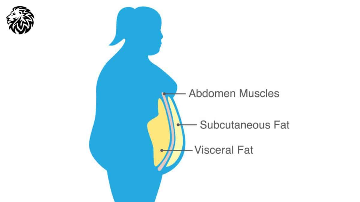 How To Burn Belly Fat Without Dieting Or Counting Macros - Angry Lion ...