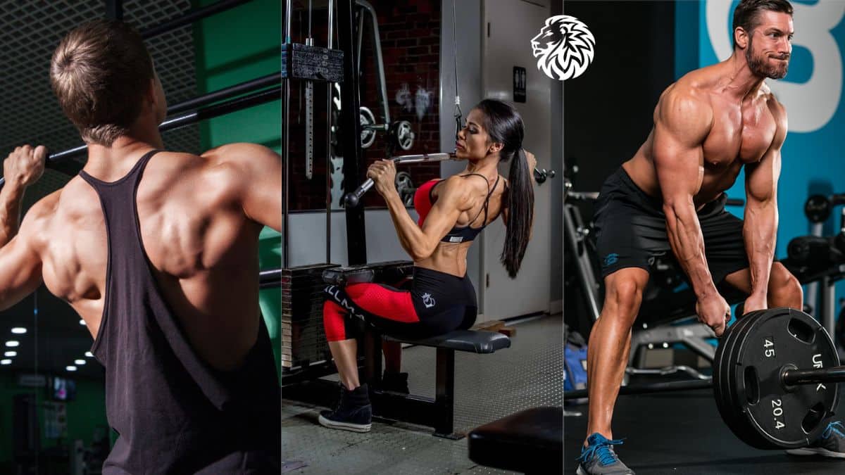 The Best Exercises for a Strong Back - Angry Lion Fitness