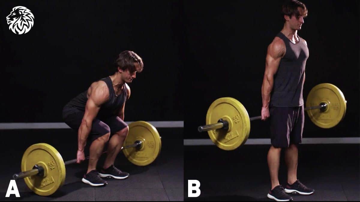 The 7 Best Barbell Quad Exercises - Angry Lion Fitness