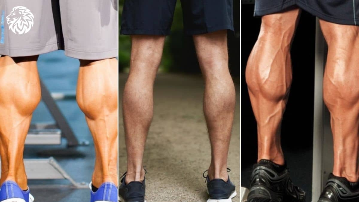 Building Bigger Calves: Strategies for Muscle Growth - Angry Lion Fitness