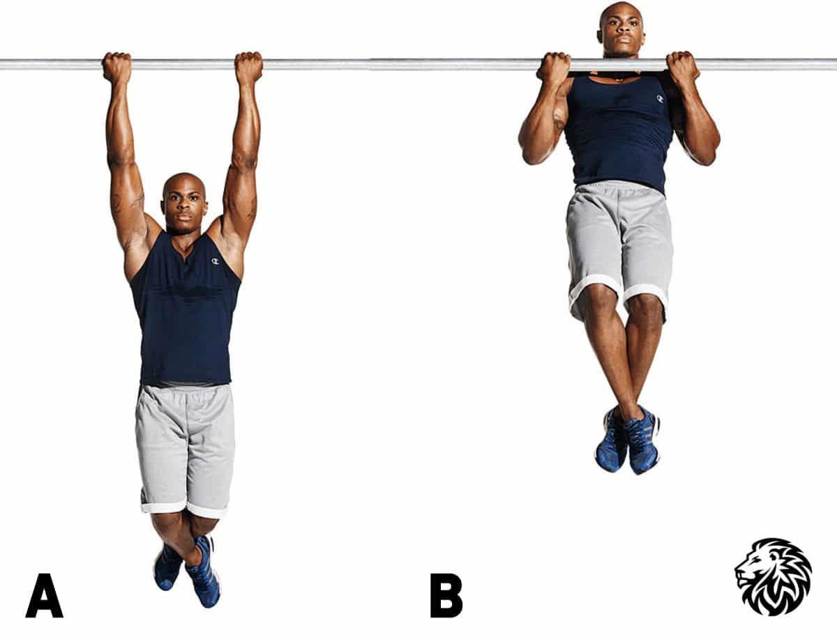 The Biceps Exercises You Need To Get Bigger Biceps - Angry Lion Fitness