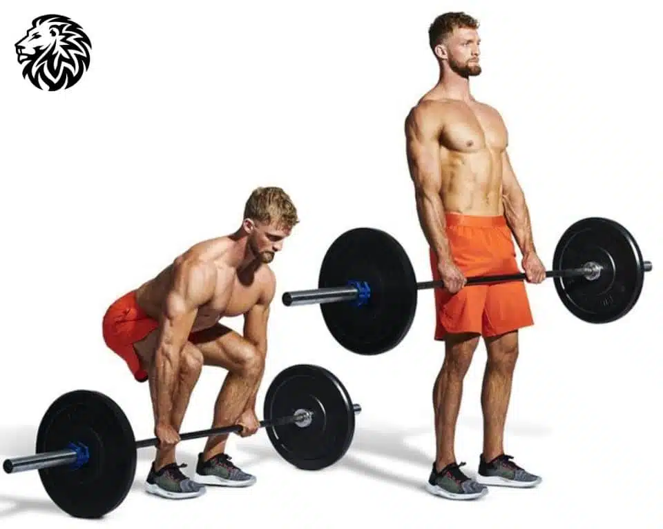 The Best Exercises for a Strong Back - Angry Lion Fitness