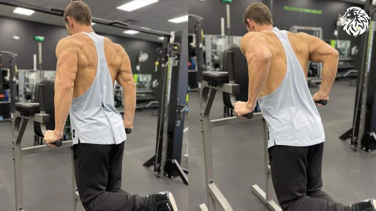 7 Best Triceps Exercises for Mass & Strength - Angry Lion Fitness
