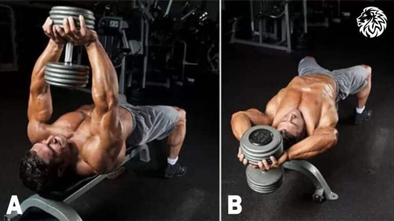 The Top 7 Chest Exercises for Strength and Size - Angry Lion Fitness