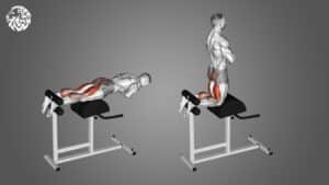 How to Do Glute-Hamstring Raises - Angry Lion Fitness