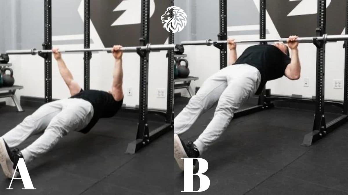 The Best Exercises for a Strong Back - Angry Lion Fitness